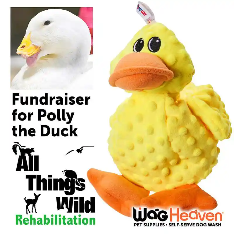 Donation for Duck Bill-All Things Wild-Toy & Card
